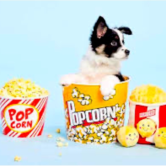 Zippy Burrow | Dog | Bn Sealed Zippy Burrow Popcorn Bucket | Poshmark